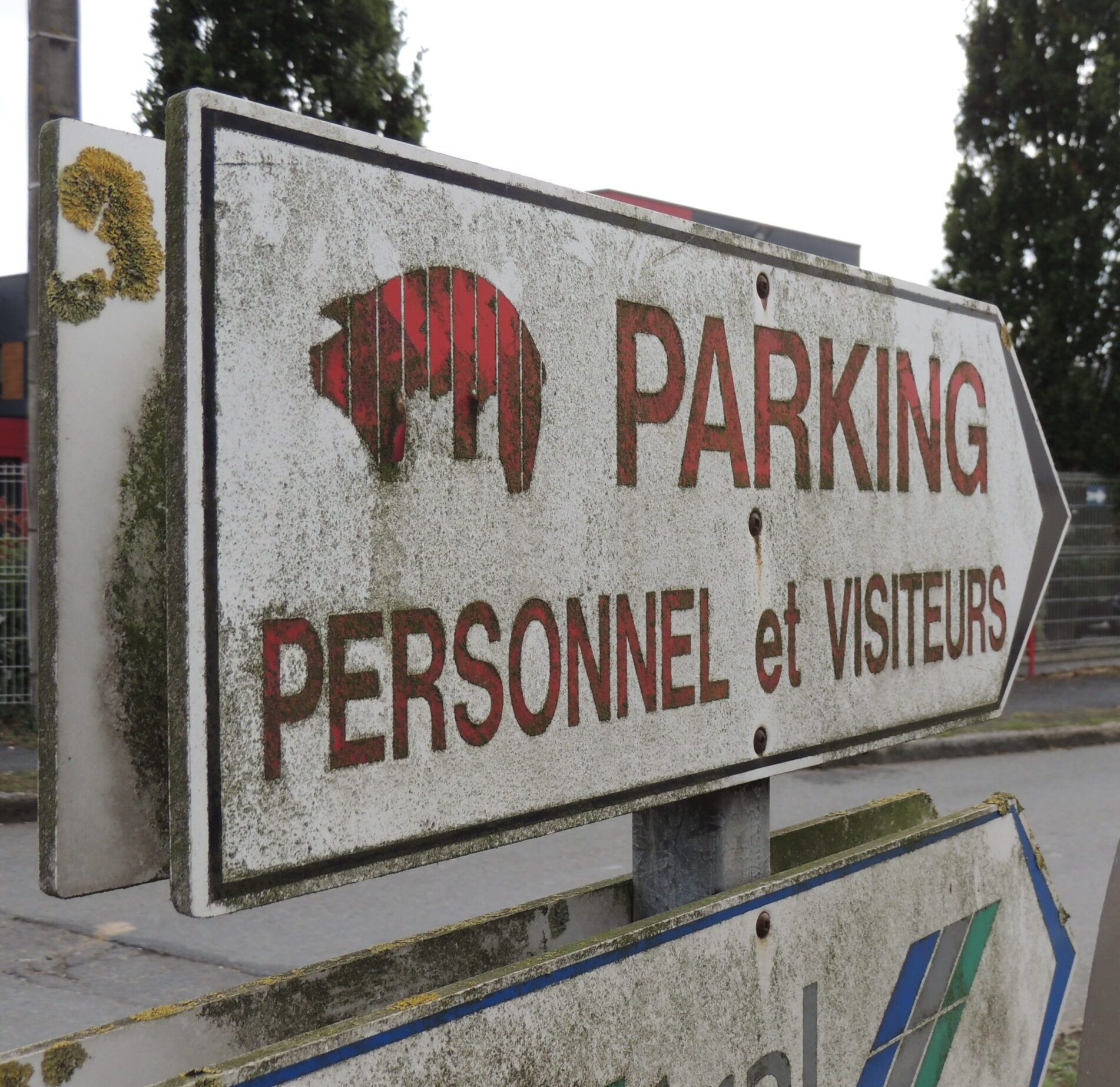 « Splann ! », premier média d'enquête indépendant en Bretagne