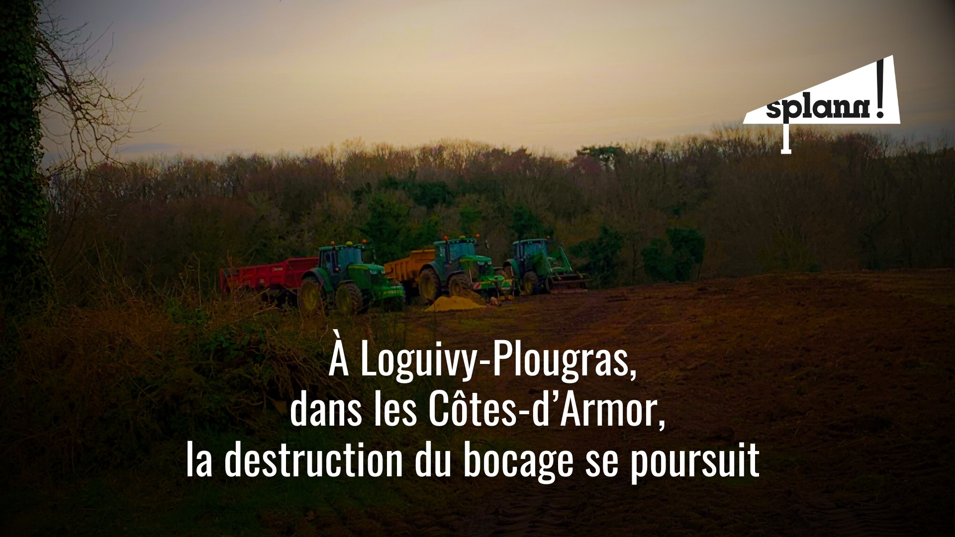 À Loguivy-Plougras, dans les Côtes-d'Armor, la destruction du bocage se ...
